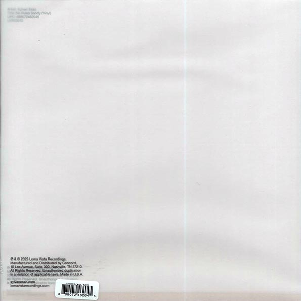 Sylvan Esso - No Rules Sandy